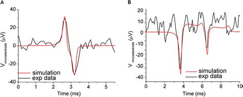 Simulation Of The Neuron To Microelectrode Junction A Download Scientific Diagram