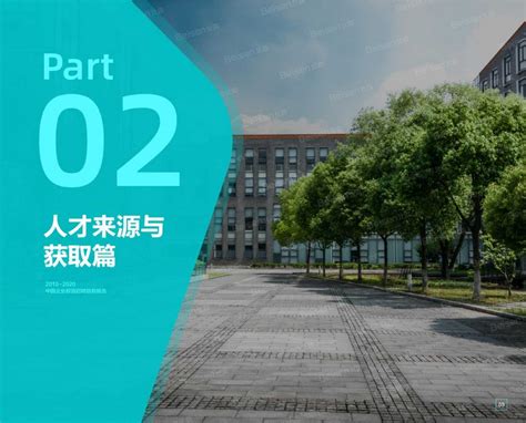 北森：2019 2020中国企业校园招聘趋势报告中国企业新浪科技新浪网