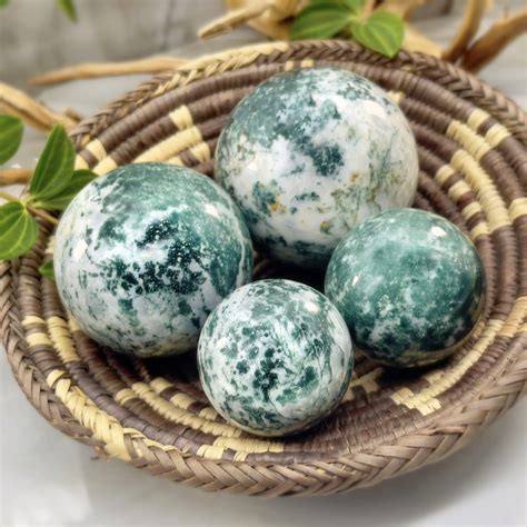 Tree Agate Guide Properties And Meaning Sage Goodess