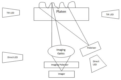 Multispectral Imaging For Liveness And Spoof Detection