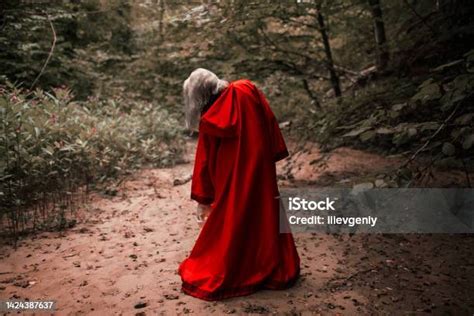 빨간 의상을 입은 금발 마녀 마법 할로윈 복장 마법의 숲 색상 조작 숲에 대한 스톡 사진 및 기타 이미지 숲 여자 한 명의 여자만 Istock