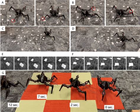 Assessing Egocentric Visual Self Models On Unseen Terrain A B C D Download Scientific