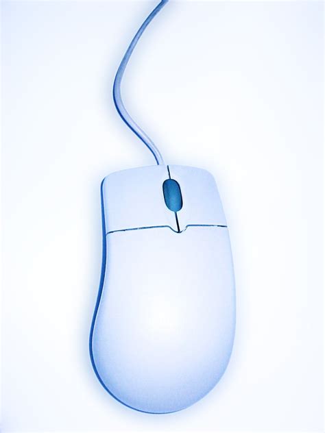 Scroll Mouse Free Photo Download FreeImages