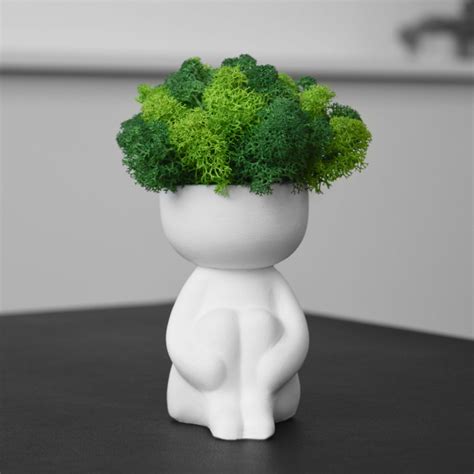 Кашпо Хлопчик з стабілізованим мохом Ягель зелений салатовий фото відгуки характеристики