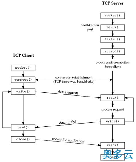 Linux Socket 编程简介和实现 Linux 奥多云