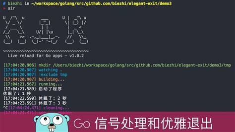 go 的信号处理和优雅退出 go 编程技巧 youtube