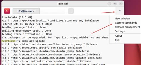 Как установить Deepin Terminal на Ubuntu 24 04 или 22 04 LTS UNIXS RU