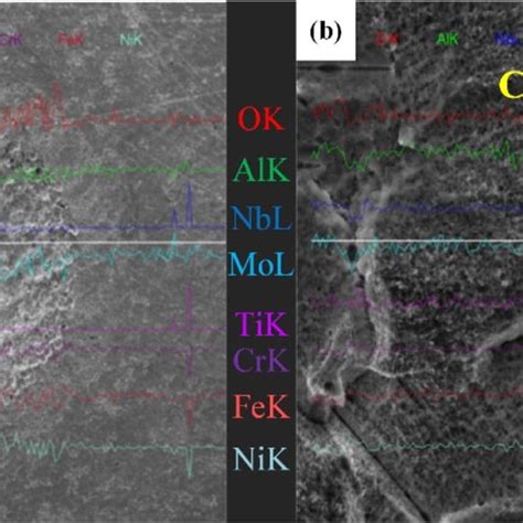 Line Scan Analysis Results For The Processing Area And Local Download Scientific Diagram