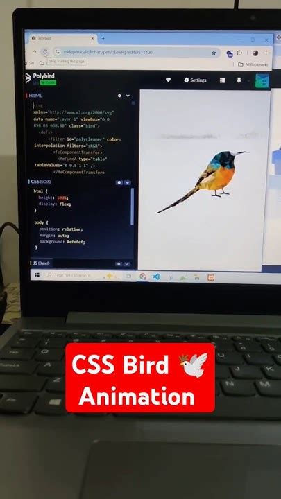 Bird Animation Css Animation Youtube