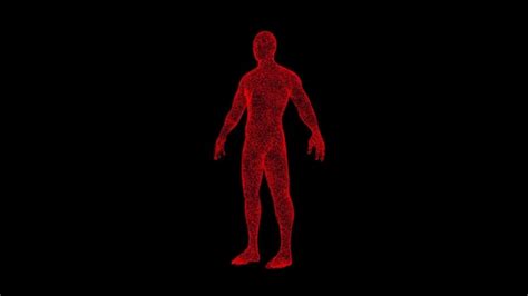 Premium Photo 3d Human Body On Black Background Object Dissolved Red Flickering Particles