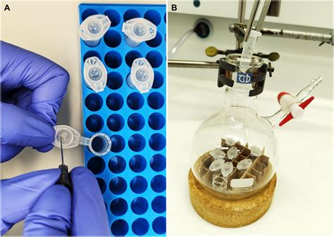 Fluorescent End Labeling And Encapsulation Of Long Rnas For Single Molecule Fret Tirf Microscopy