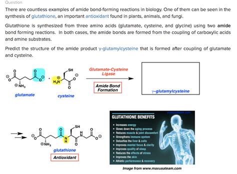 Solved Question There Are Countless Examples Of Amide