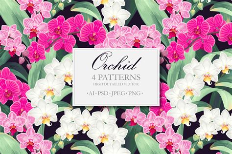 Orchid Patterns Graphic Patterns ~ Creative Market