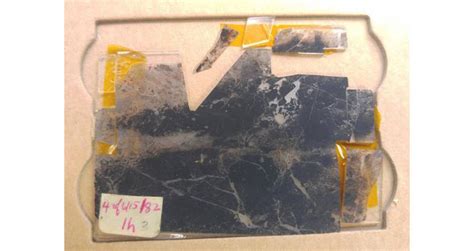 What Are The Oldest Fossils Ever Found On Earth