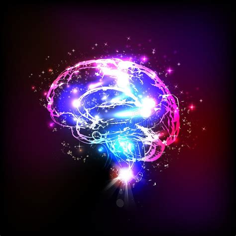 Human Brain S Functions Stock Illustration Illustration Of Expertise