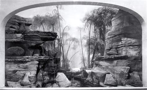 Devonian Life On Land Ny Rocks Ancient Life Of The Empire State — Museum Of The Earth