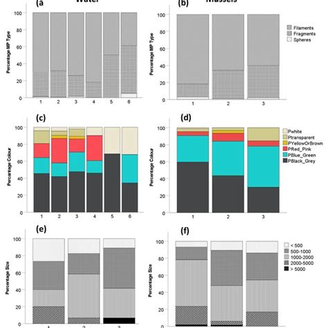 A Microplastic Polymer Types Sampled At Sites 1 3 Cape Town