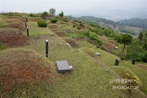 용미리 제1묘지 200구역 일반묘 구역의 전경 모습입니다 시공사례 묘지조경공사닷컴 벽제묘지 용미리묘지 전문