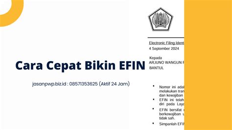 Cara Memiliki Efin Pajak Dalam 1 Hari Saja