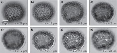 Microscopy Programmable Led Array Makes Microscopes More Versatile