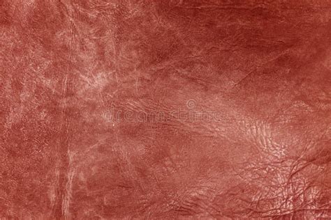 Bonito Fondo Rojo Con Textura De Cuero Con Venas Rojas De Cuero Rojo Foto De Archivo Imagen De