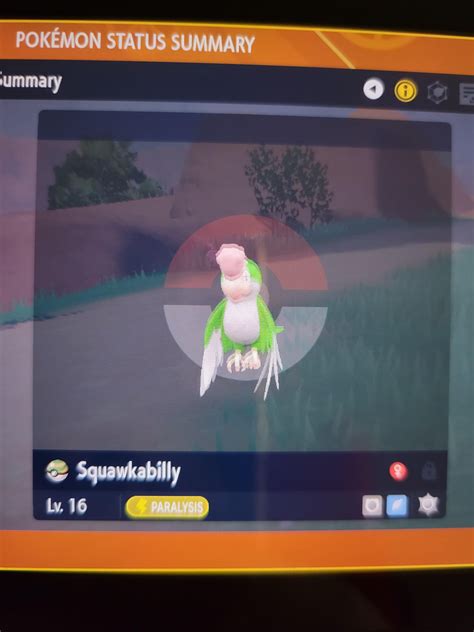 [gen9] Full Odds Shiny Squakabilly R Shinypokemon