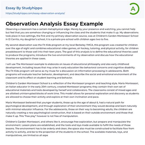 Observation Analysis Essay Example