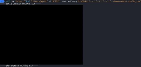 Exploit Checkpoint Vulnerability With One Simple Command