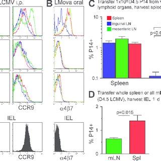 Memory CD8 T Cells Do Not Retain 4 7 Expression Regardless Of Download Scientific Diagram