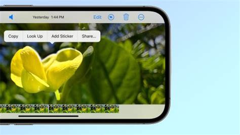How To Use Visual Look Up On Videos With IOS Tom S Guide