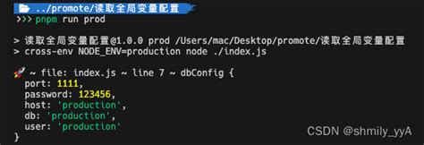使用 Dotenv 与 Config 解析全局环境变量 Csdn博客