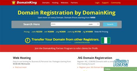 domainking ng review cheap web hosting company in nigeria ogbongeblog