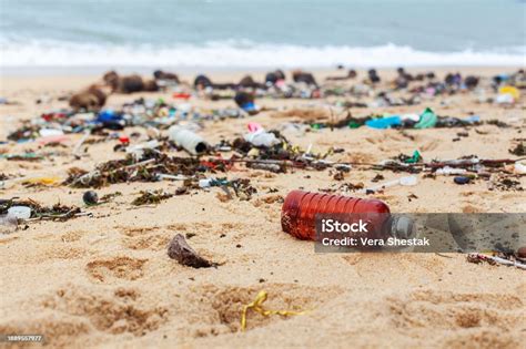 바닷가의 쓰레기 더러운 바닷물 환경 오염 생태 문제 폐기물 관리 쓰레기 재활용 분류되지 않은 쓰레기 비닐 봉지 유리 병 금속 캔 쓰레기 쓰레기 더미 쓰레기 0명에 대한 스톡