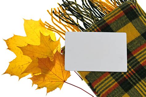 가empty 칠판 흰색 배경에 고립 된 노란색 체크 무늬 스카프에 단풍 잎 보기 상위 공간을 복사 합니다 가 시즌입니다 가 분위기입니다 0명에 대한 스톡 사진 및 기타