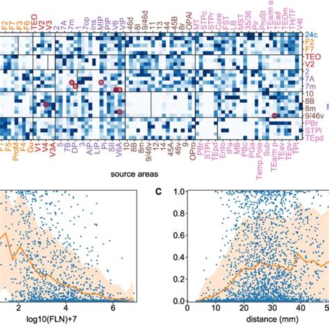 Binary Prediction Heterogeneity In The Macaque Brain A Prediction