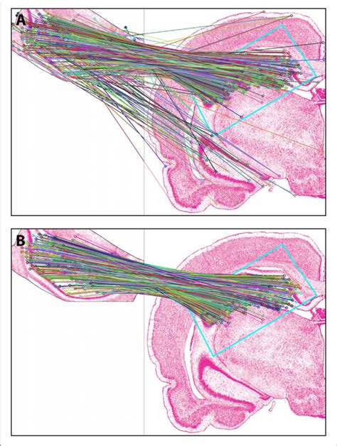Results Of Experiment 1a The Algorithm Successfully Matched The