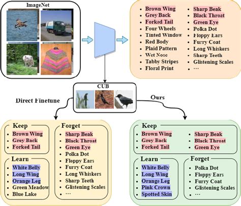 Figure 1 From Attribute Aware Representation Rectification For Generalized Zero Shot Learning