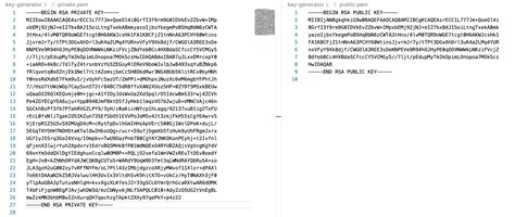 golang generate rsa key pem potentevents