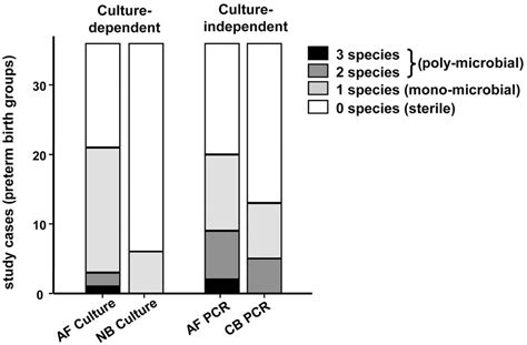 Peptoniphilus Asaccharolyticus Semantic Scholar