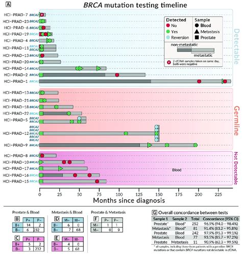 A Timeline Of Detection For The 23 Patients With Brca Mutations Each Download Scientific
