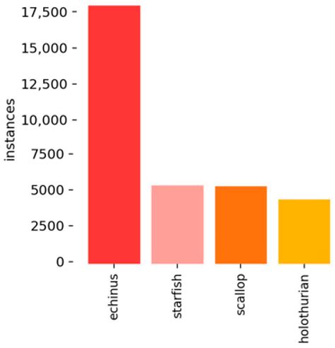 Research On An Underwater Object Detection Network Based On Dual Branch