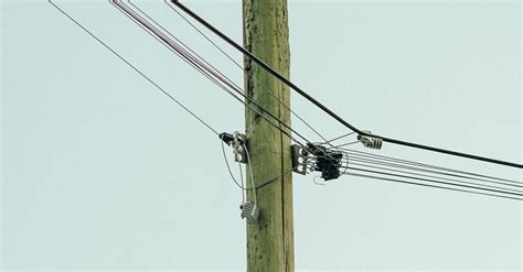 고립된 고전압 기둥 기술 나무 기둥 네트워킹 농촌 기반 시설 높은 기둥 맑은 하늘 멕시코 배전 북미 산업 소통 송전선로 수직 구조 아무도 야외