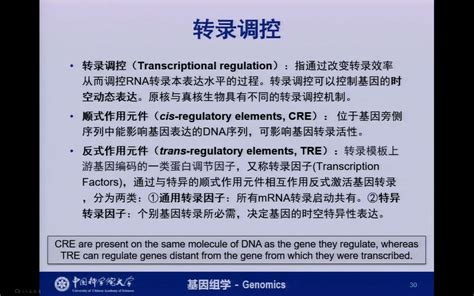 基因组学 章张 中国科学院大学 2022 哔哩哔哩