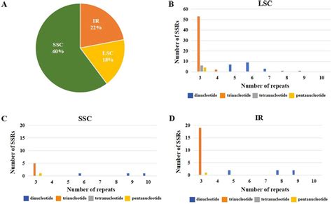 The Distribution Type And Presence Of Simple Sequence Repeats Ssrs Download Scientific