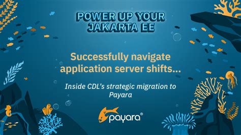 payara services ltd on linkedin applicationserver migration insurtech jakartaee