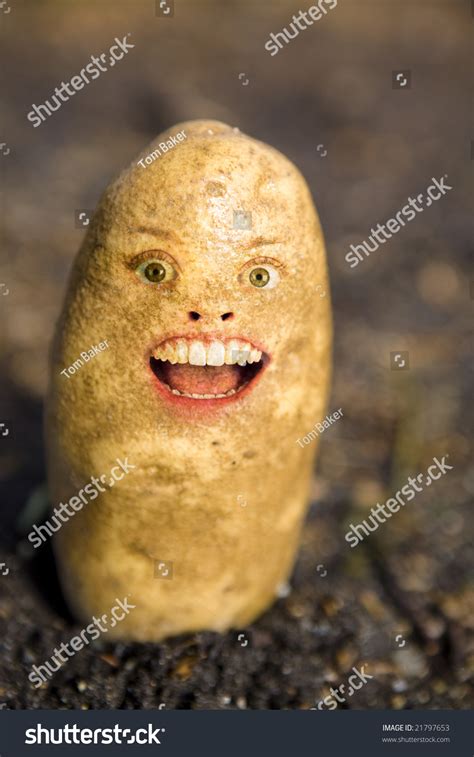Funny Potato Face