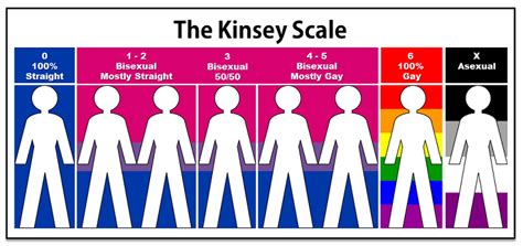 What Is Your Sexual Orientation At Present Xnxx Adult Forum