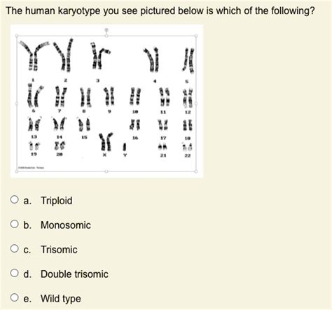 Double Trisomy