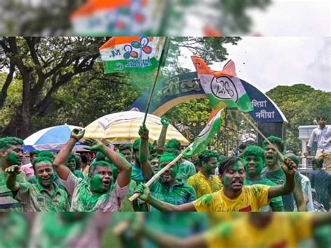 West Bengal Panchayat Elections Tmc Poised To Sweep Polls Bags Nearly