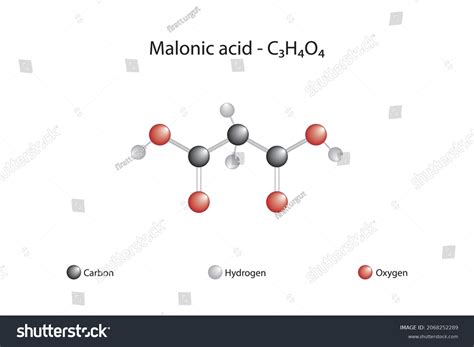 Malonic Acid Structure